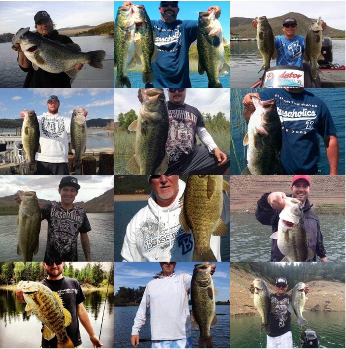 Big Bass Photo Gallery is here! – Bassaholics